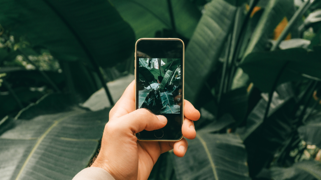 Mobile Photography Course | QLS Endorsed Certificate - One Education