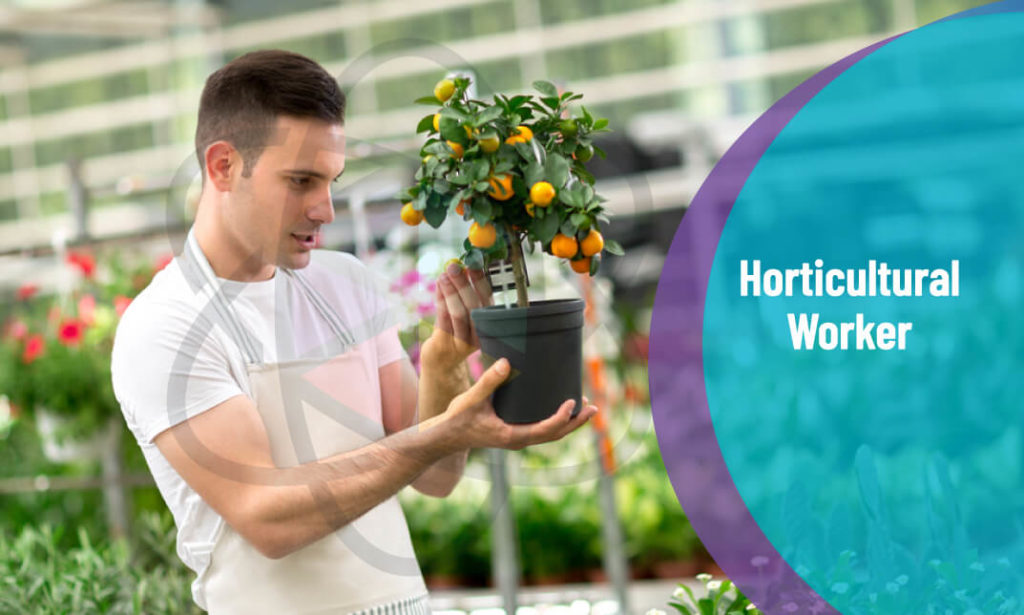 Horticultural Worker Course – One Education
