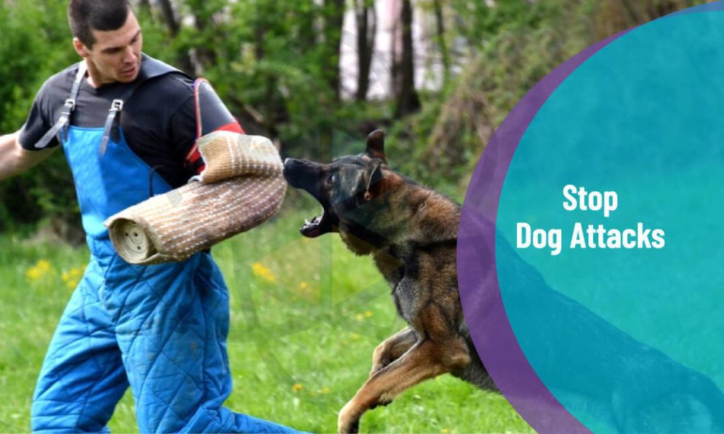 Dog Training - Stop Dog Attacks – One Education