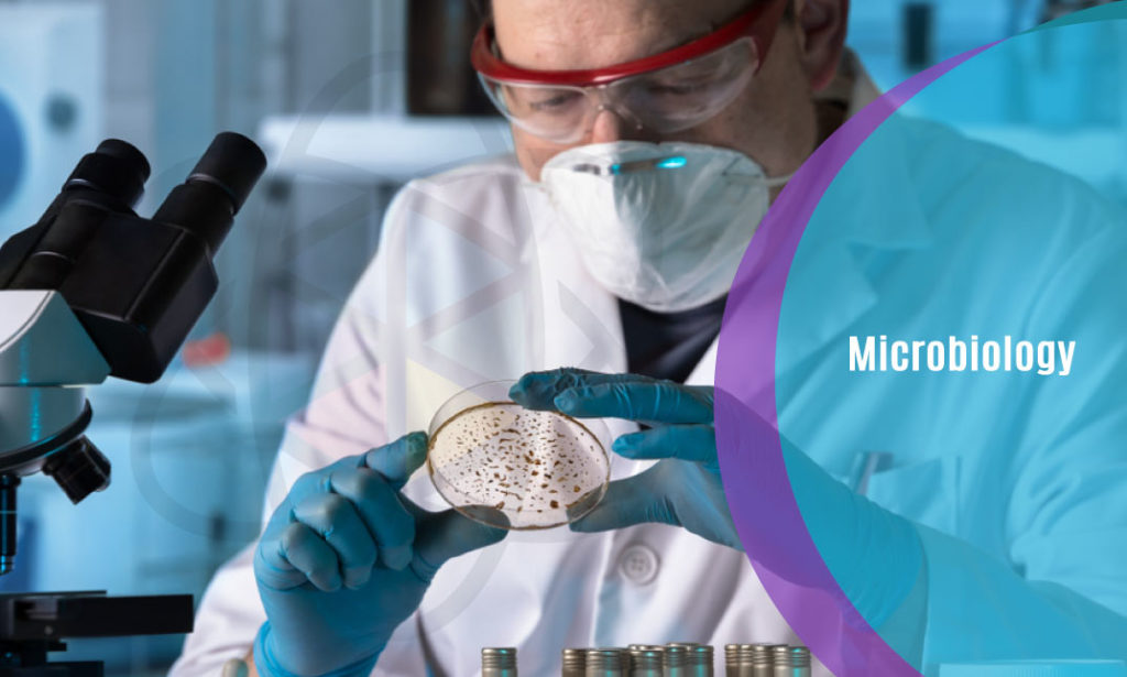 Microbiology – One Education