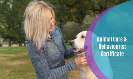 Animal Carer & Behaviourist Certificate – One Education