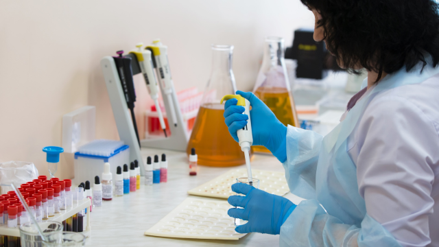 Microbiology Diploma – One Education