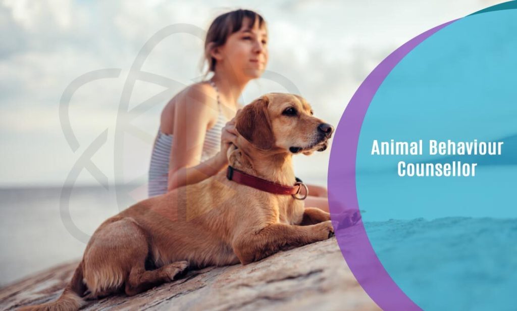 Animal Behaviour Counsellor – One Education