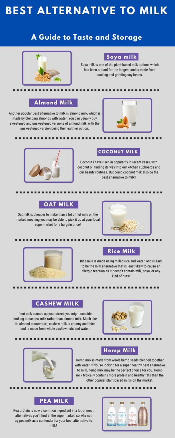 Best Alternative to Milk for Your Health - One Education