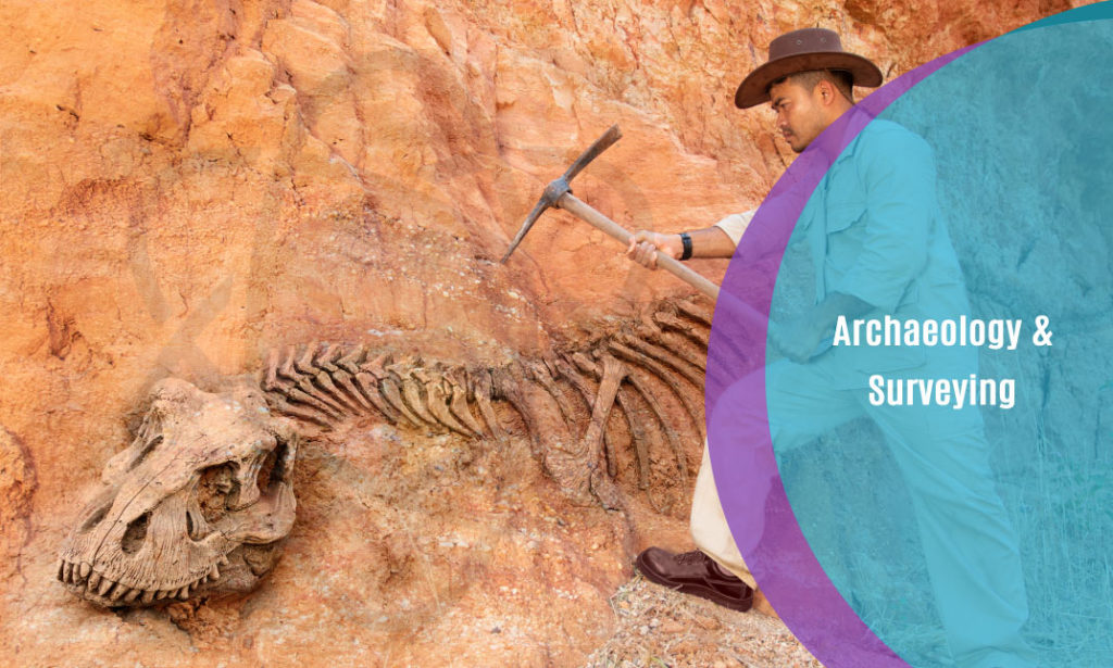 Archaeology-&-Surveying – One Education