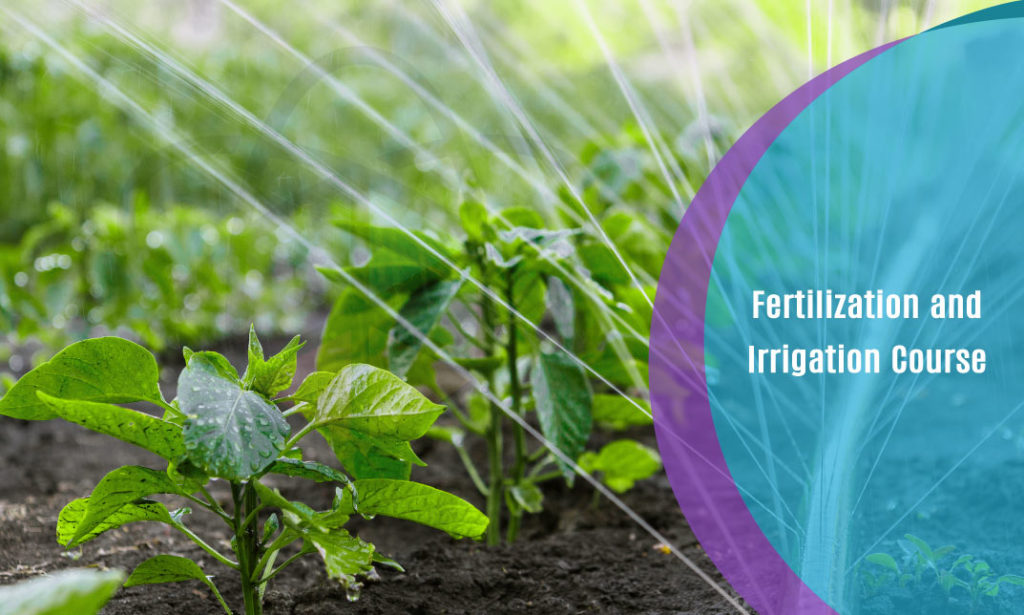 Fertilization and Irrigation Training Course – One Education