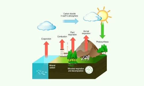Carbon Literacy Knowledge – One Education
