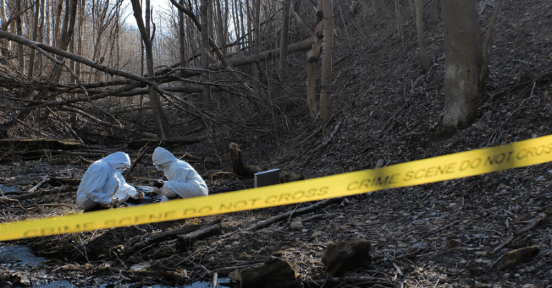 How to Become a Detective: A Career Guide for Beginners – One Education