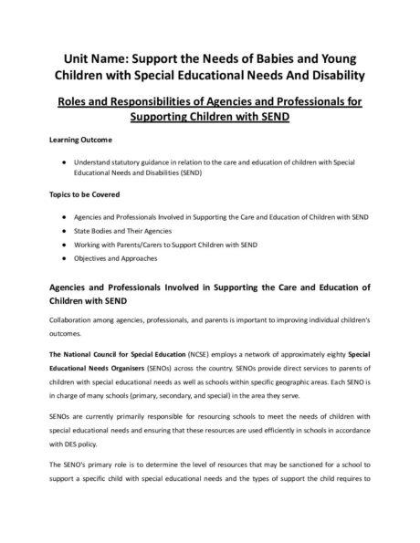 2. Roles and Responsibilities of Agencies and Professionals for ... 2. Roles and Responsibilities of Agencies and Professionals for ...