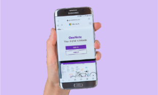 Learn the Basics of Microsoft OneNote – One Education