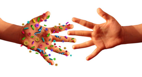 Steps of Handwashing: 8 Essential Guides of Handwashing – One Education