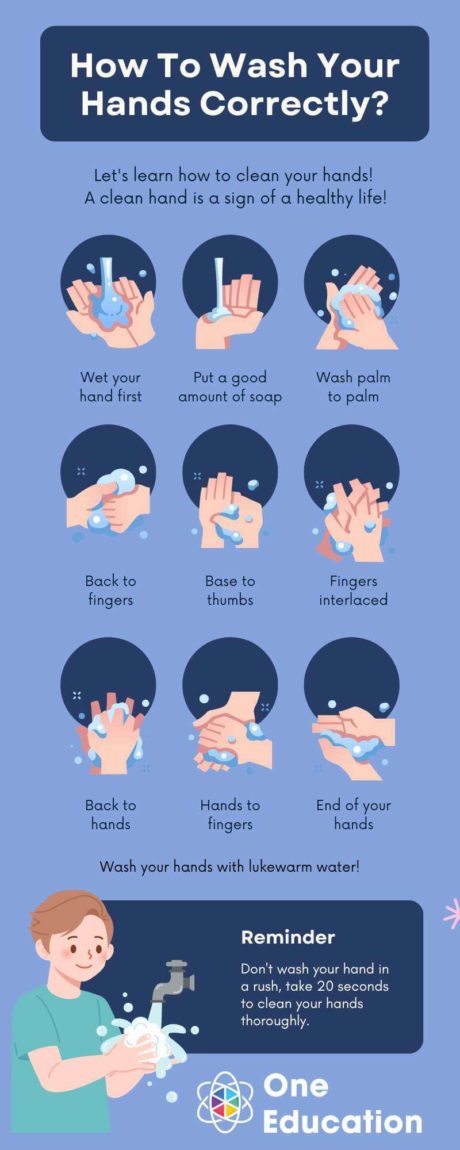Steps of Handwashing: 8 Essential Guides of Handwashing – One Education