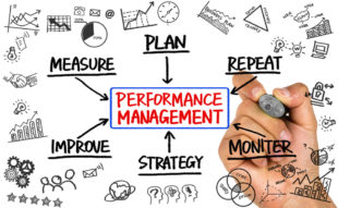 What is Performance Management Cycle? – One Education