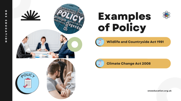 Why You’re Confused About Policies and Laws and How to Fix It – One ...