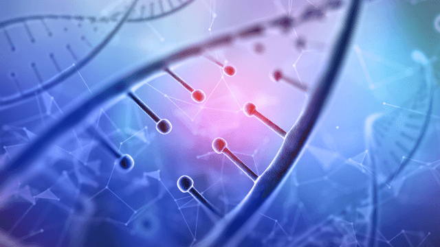 Molecular Genetics – One Education