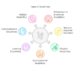 What are the Different Types of Disabilities? – One Education